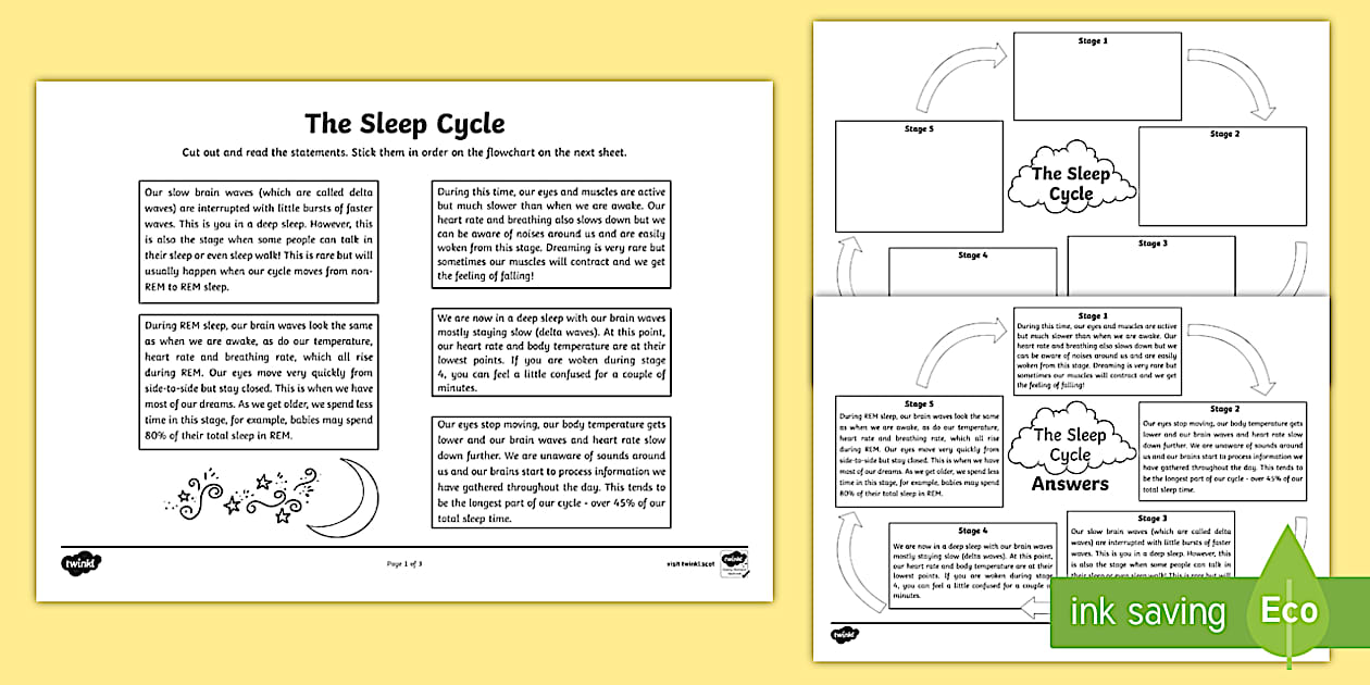 Lower Ability The Sleep Cycle Second Level Worksheet
