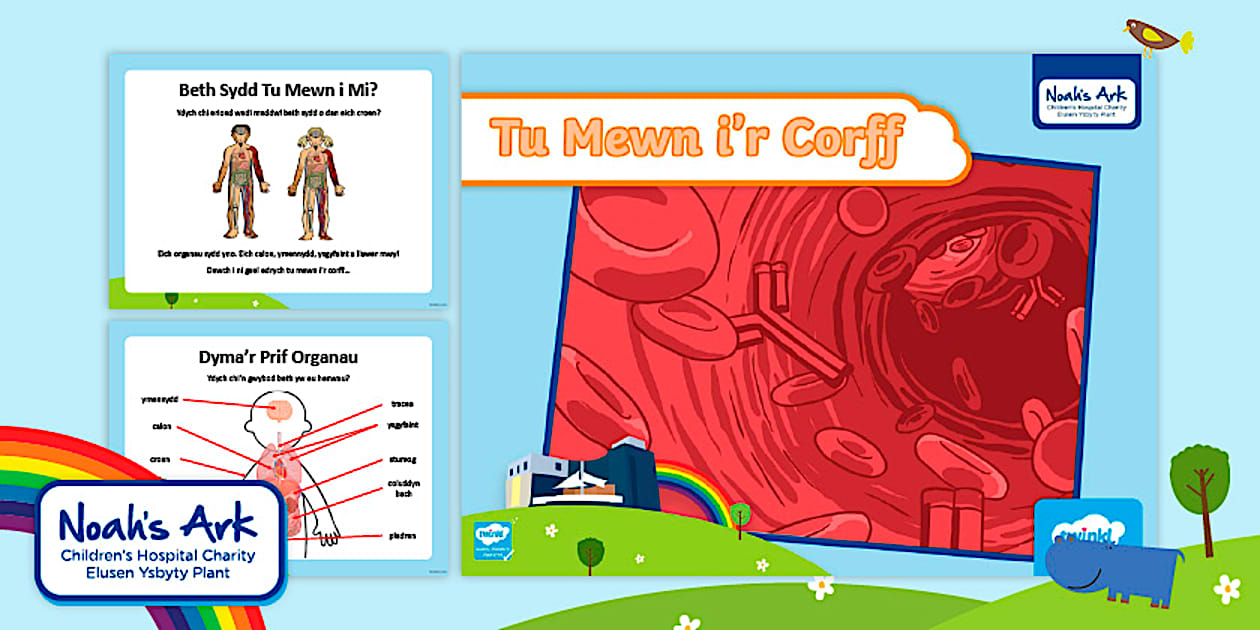 FREE! - Pŵerbwynt Tu Mewn i'r Corff (teacher made) - Twinkl