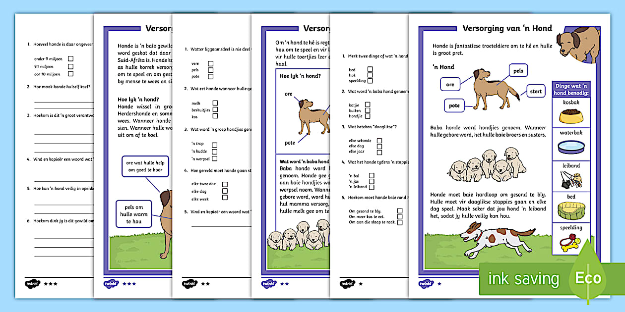 Editable Hoe Om 'n Hond Te Versorg Gedifferensieerde/Begripslees