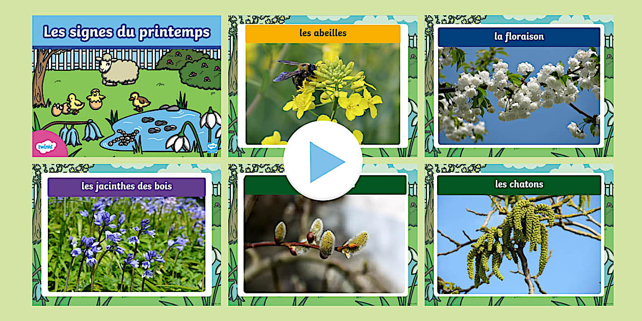 Powerpoint : les signes du printemps - Twinkl