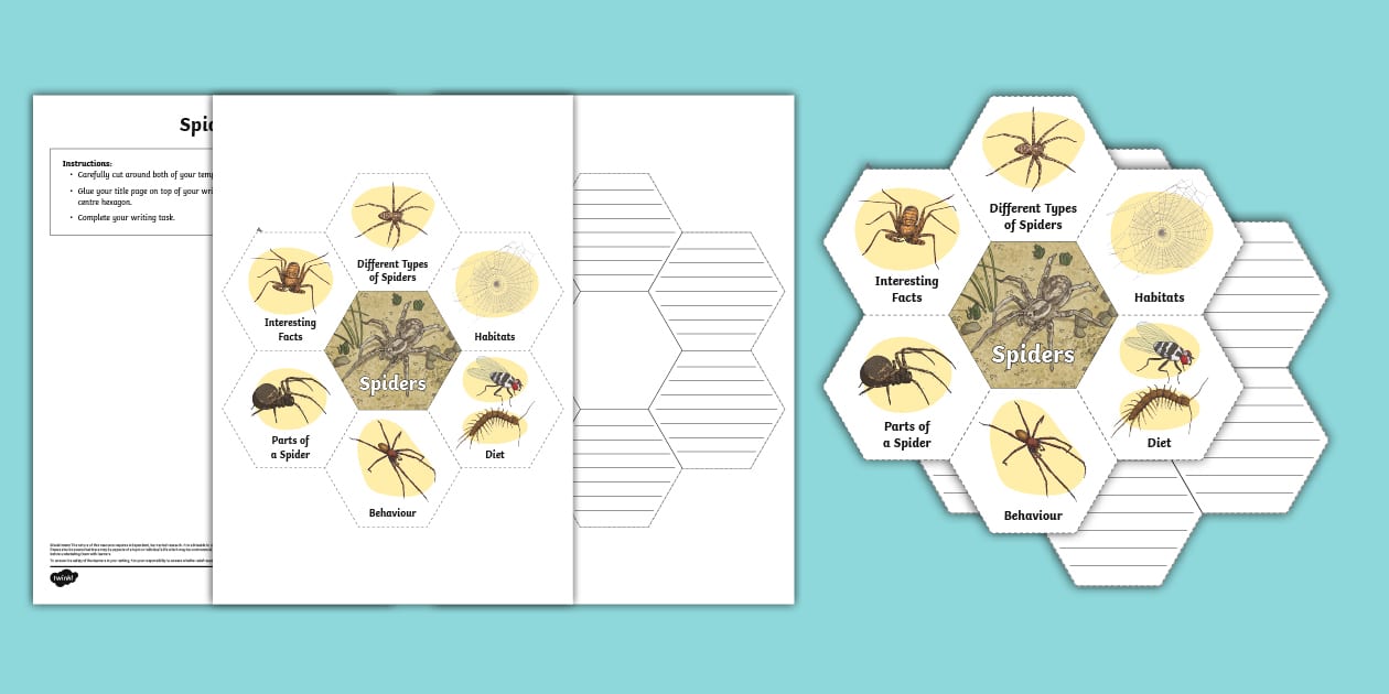 Spiders Hexagon Writing Template (teacher made) - Twinkl