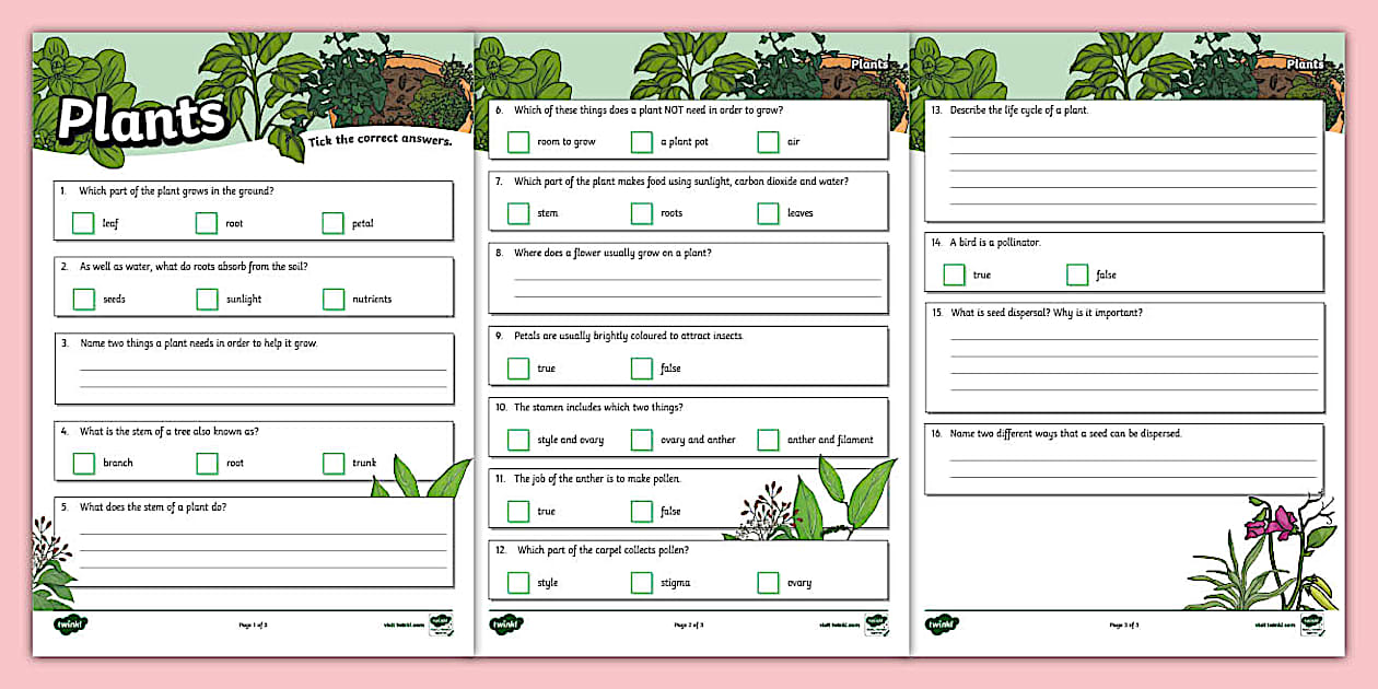Plants Paper Quiz - Twinkl - KS2 (Teacher-Made) - Twinkl