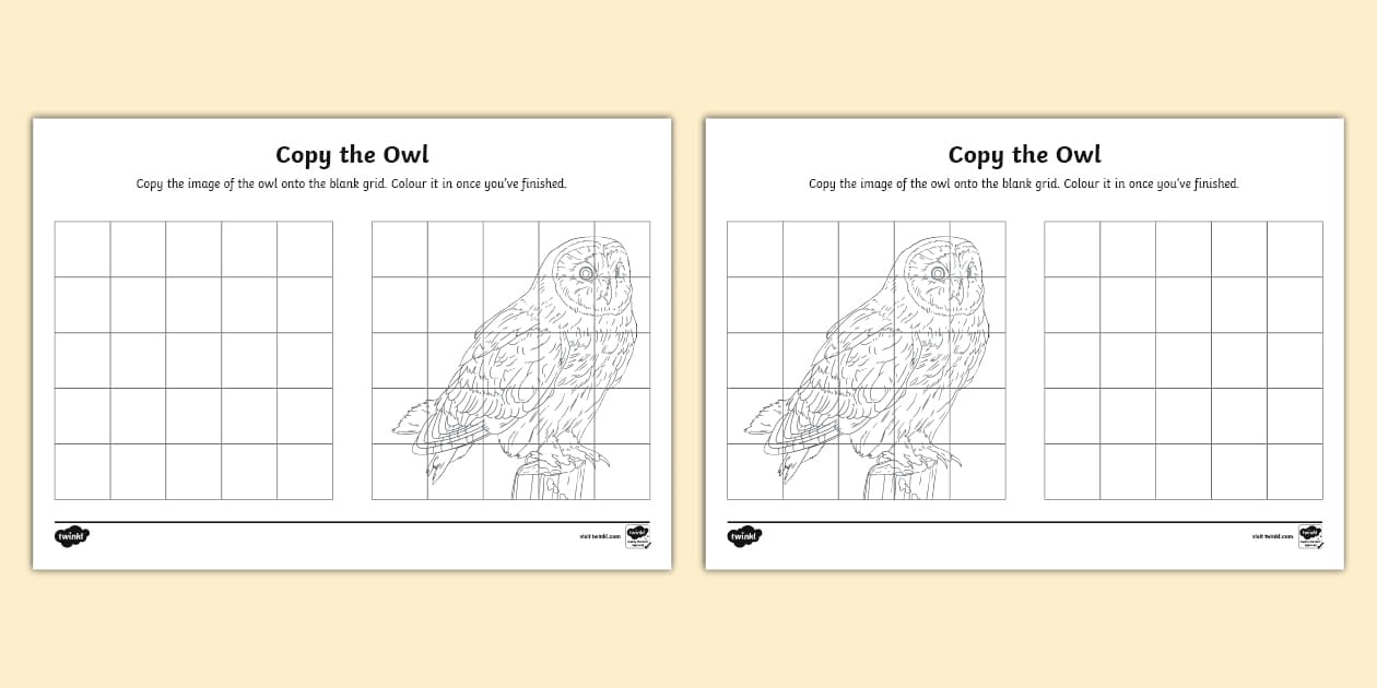 KS2 Copy the Owl Worksheet - Twinkl Art Sheets - Twinkl
