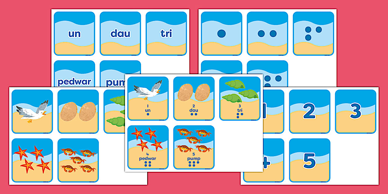 Dewch am Dro i Lan y Môr!: Cardiau Paru Rhifau