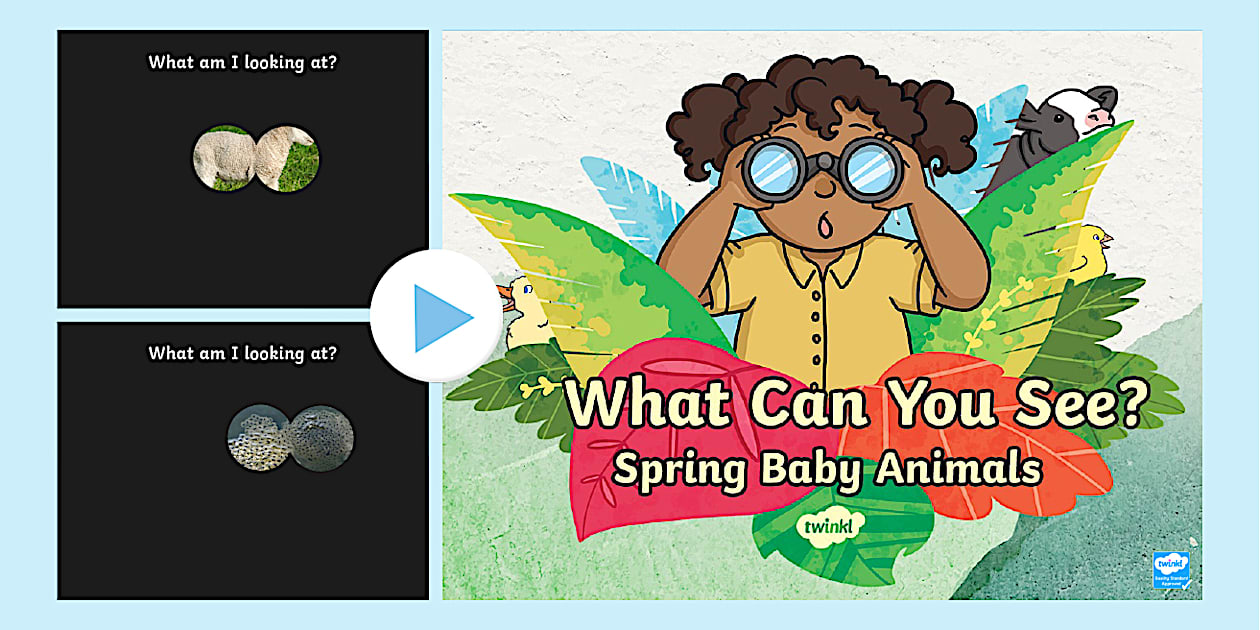 Spring Baby Animals - What Can You See? PowerPoint - Twinkl