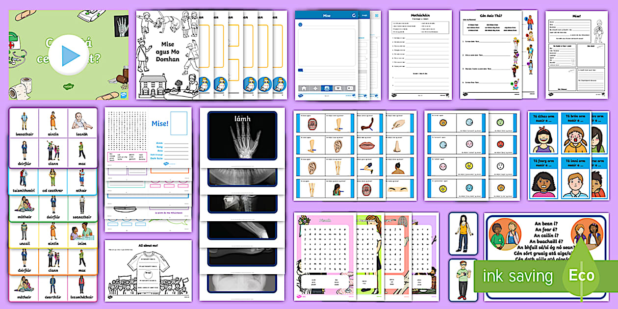 Junior Cycle Me Fein PowerPoint and Activities Pack | 3rd/4th Class