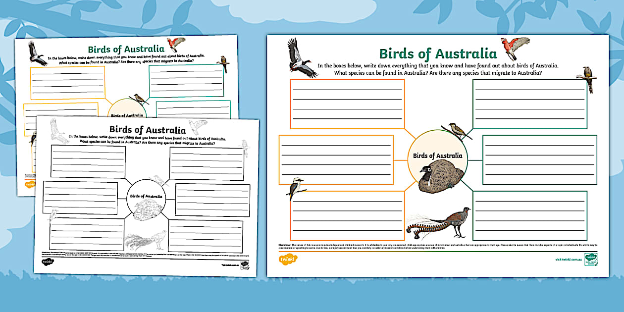 Birds of Australia Mind Map (teacher made) - Twinkl