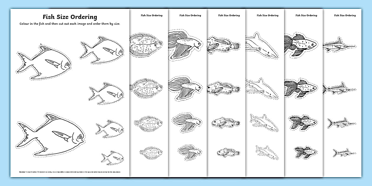 👉 Fish Size Ordering Colouring Worksheets (teacher made)