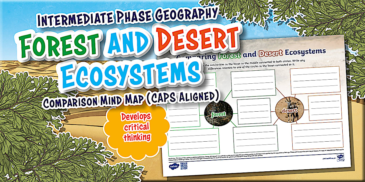 Intermediate Phase Social Sciences - Forest and Desert Ecosystems ...