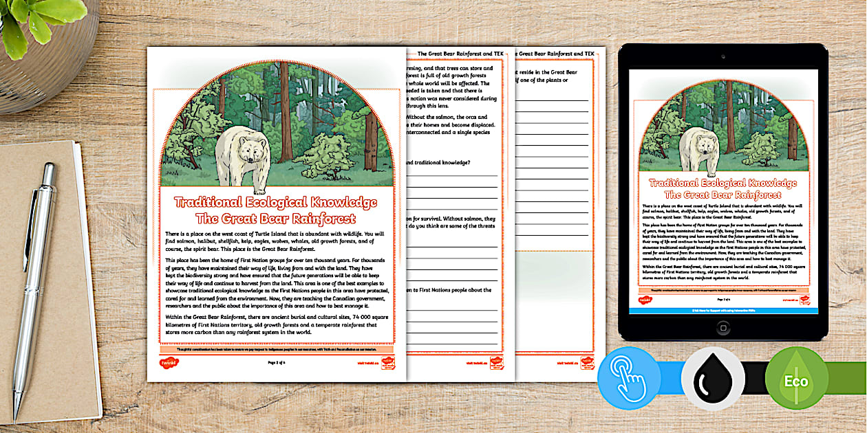 FREE! - TEK and The Great Bear Rainforest Reading Comprehension