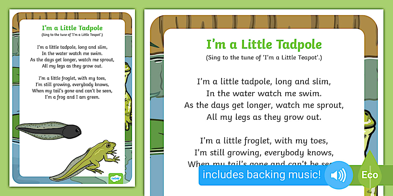 I'm a Little Tadpole Song (teacher made) - Twinkl