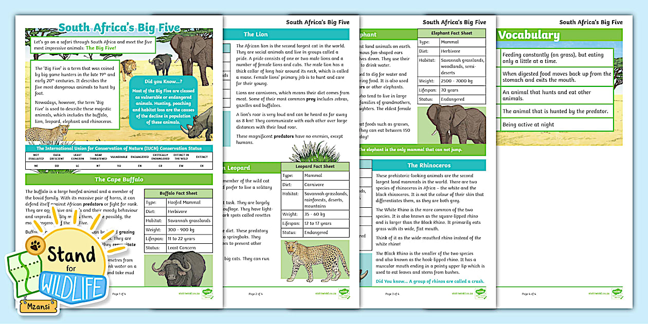 Big Five Animals in South Africa | Reading Comprehension