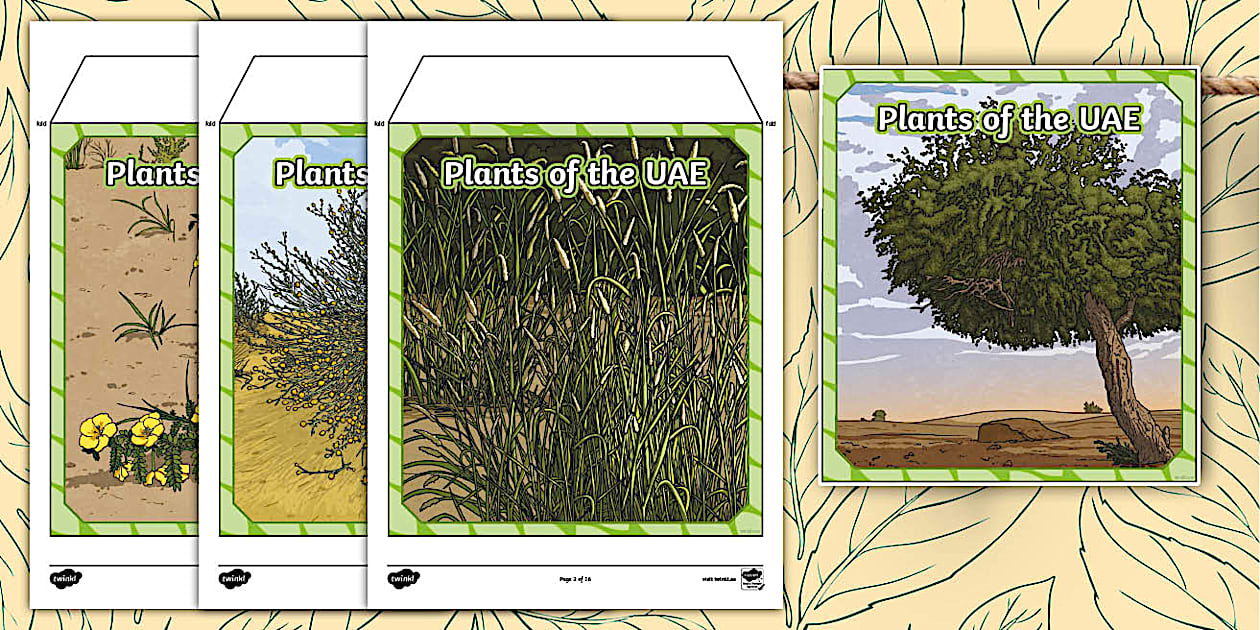 UAE Plants - Display Bunting (teacher made) - Twinkl