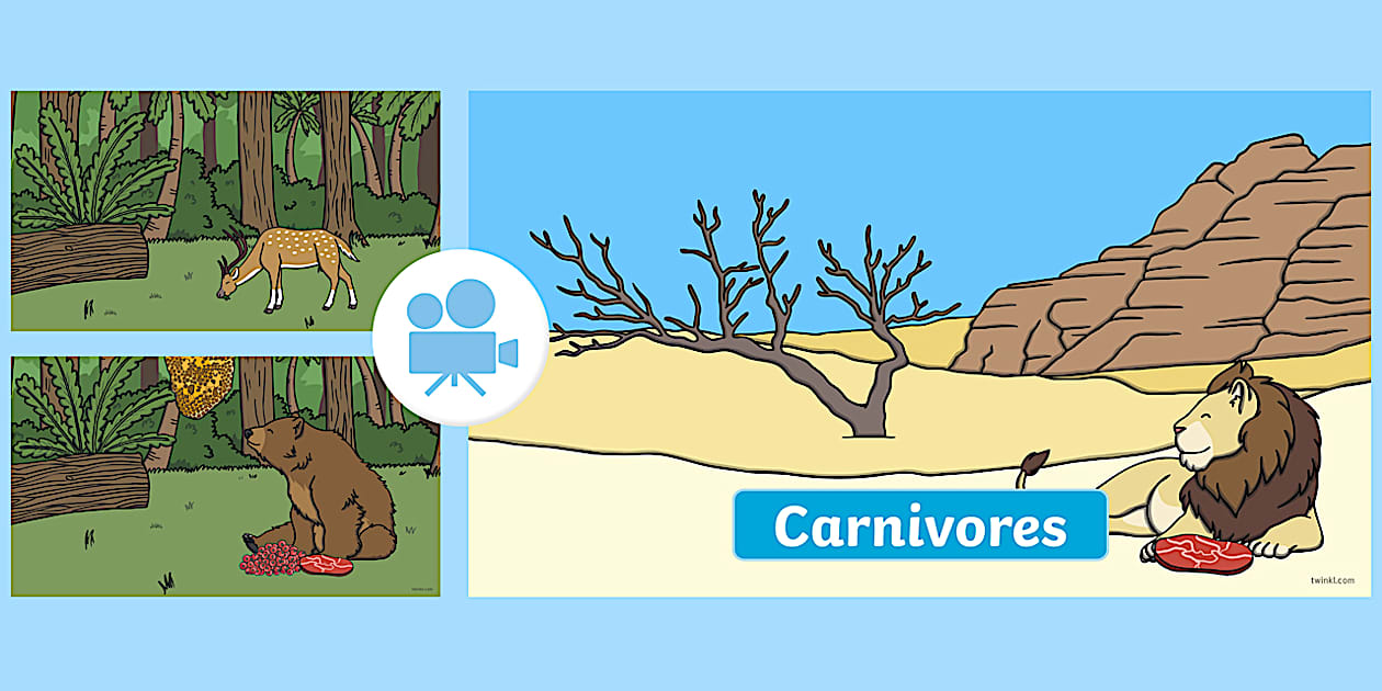 Carnivore, Herbivore, Omnivore KS1 Video | Twinkl Go