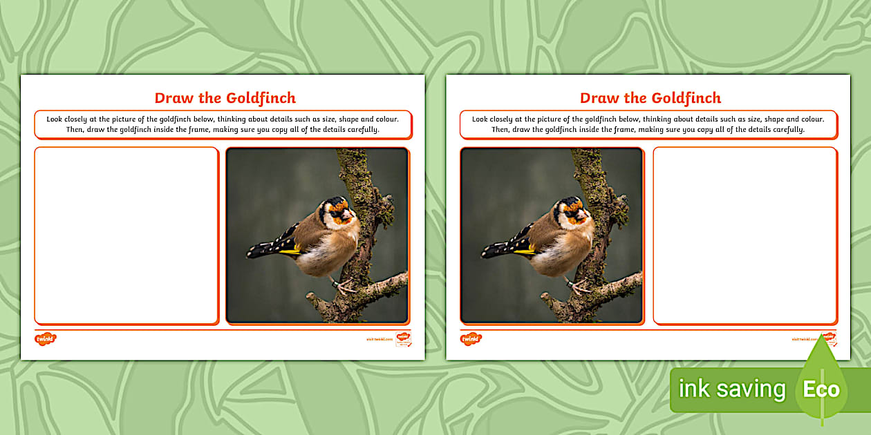 Draw the Goldfinch Art Activity (teacher made) - Twinkl
