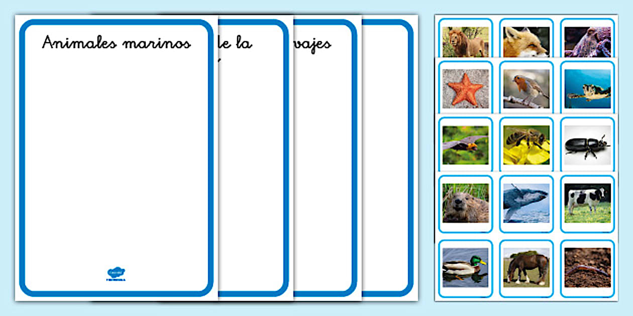 Editable Ficha de clasificar diversos animales - Twinkl