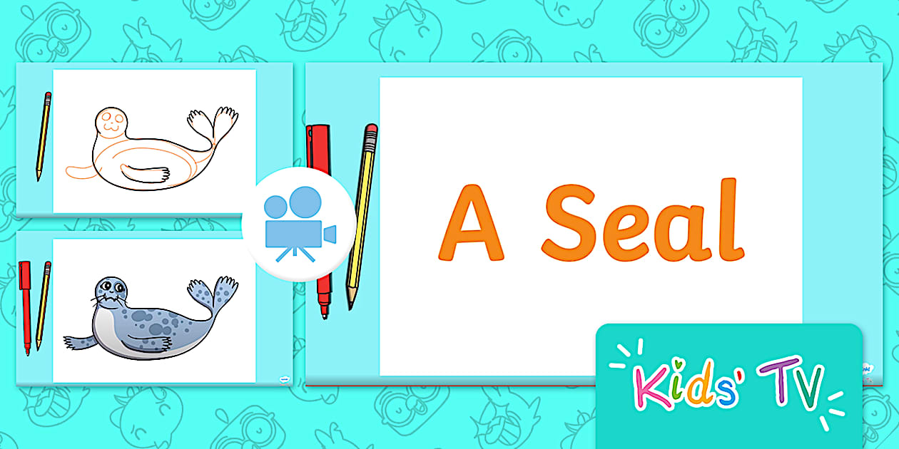 How to Draw a Seal | Twinkl Kid's TV (teacher made) - Twinkl