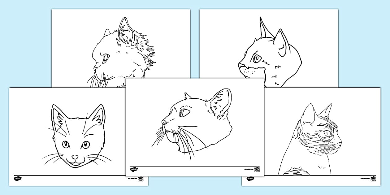 Cat Faces Colouring Pages - Twinkl - KS1 (teacher made)