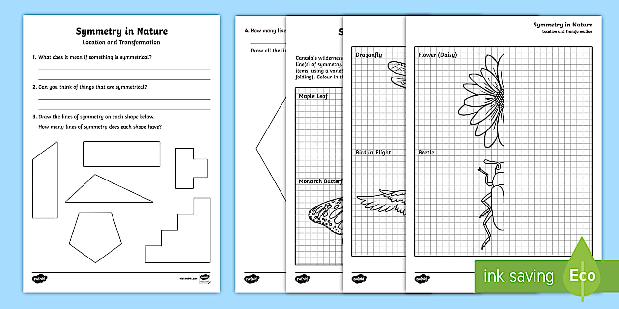 Symmetry in Nature Worksheet / Worksheet - Twinkl