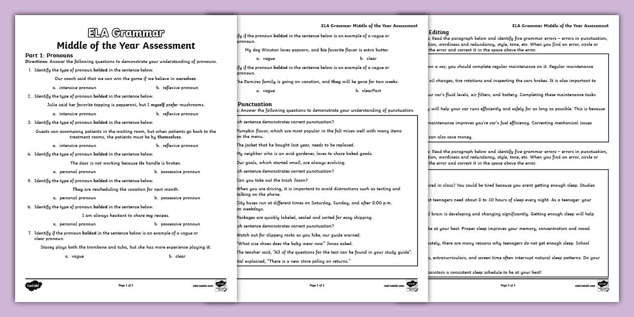 Sixth Grade Middle of the Year ELA Grammar Assessment