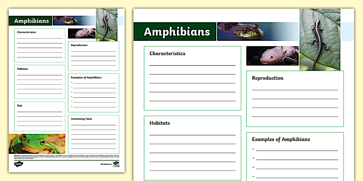Amphibians Fact File Template (teacher made) - Twinkl