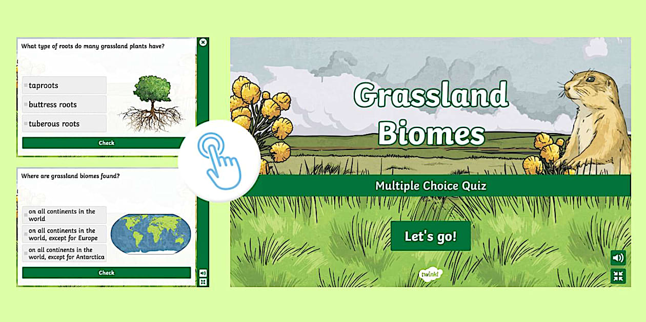 Grassland Biomes Multiple Choice Quiz (teacher made)