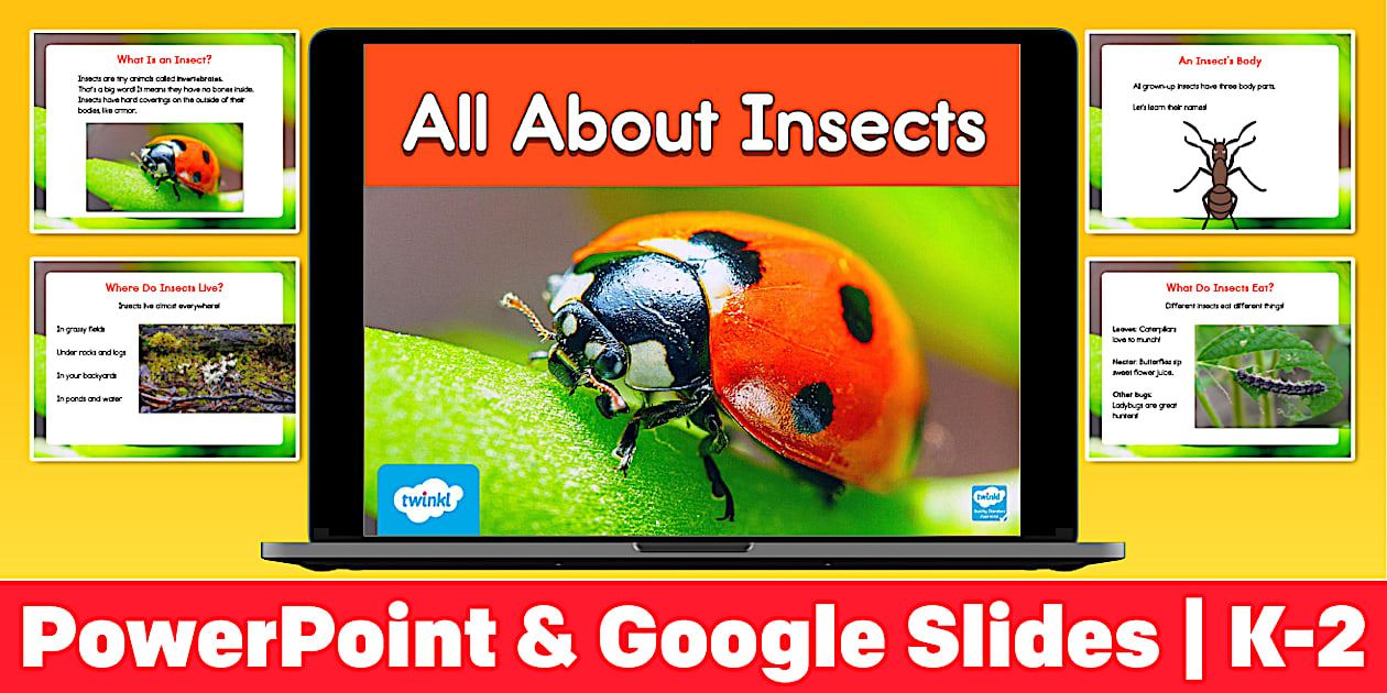 All About Insects PowerPoint & Google Slides for K-2nd Grade