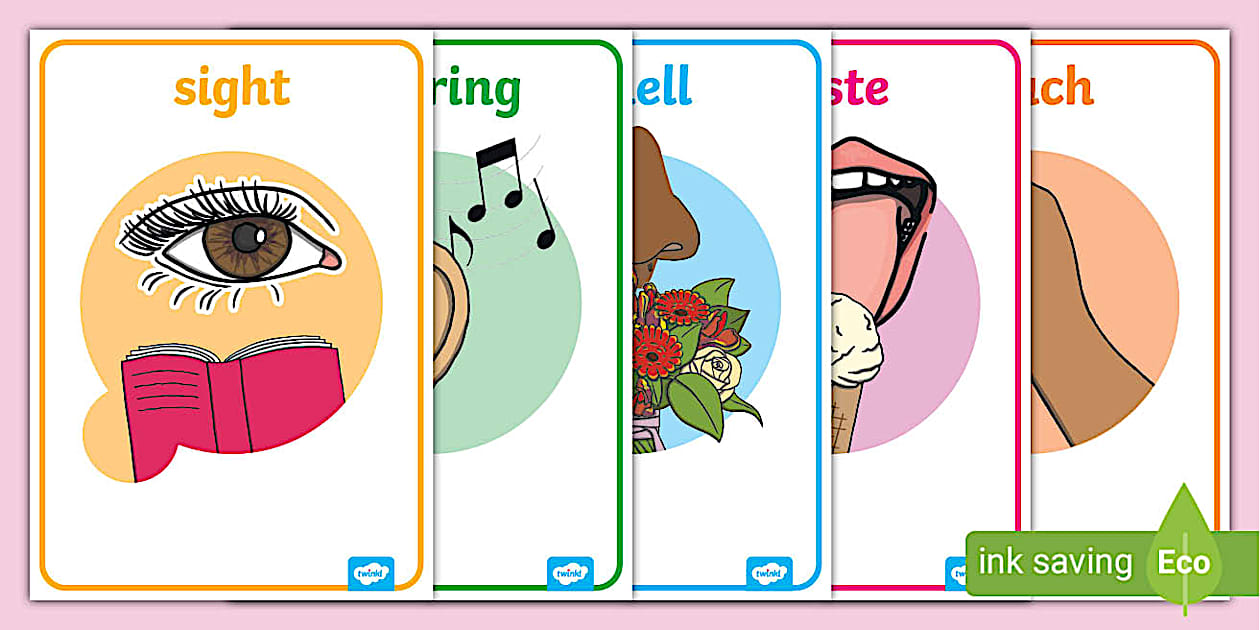 Editable 5 Senses Display Posters For Kids (professor feito)