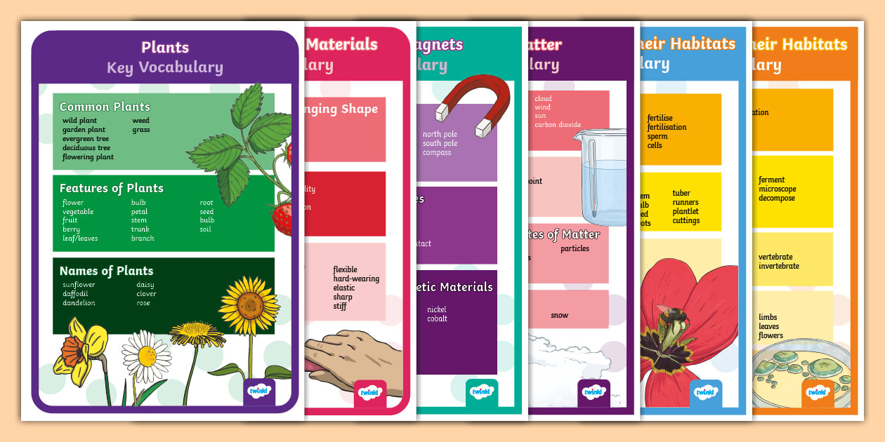 Year 1 to 6 Scientific Vocabulary Poster Resource Pack - Year 3 Forces
