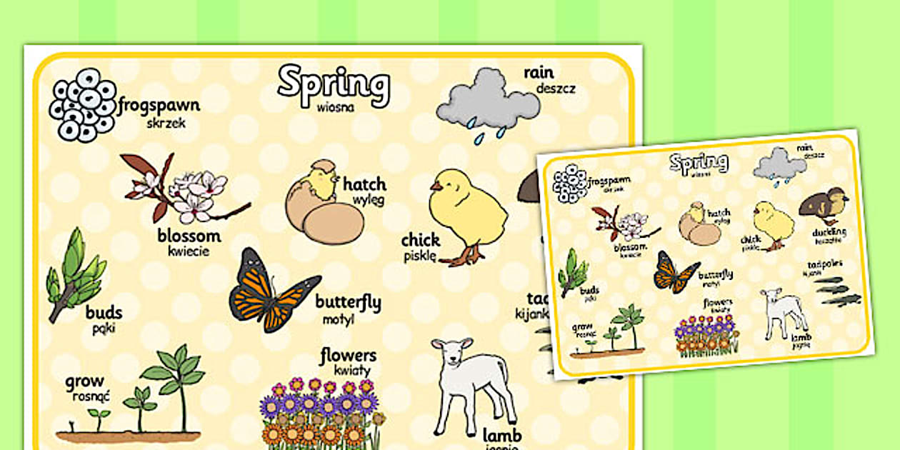 Spring Word Mat Polish Translation (Teacher-Made) - Twinkl