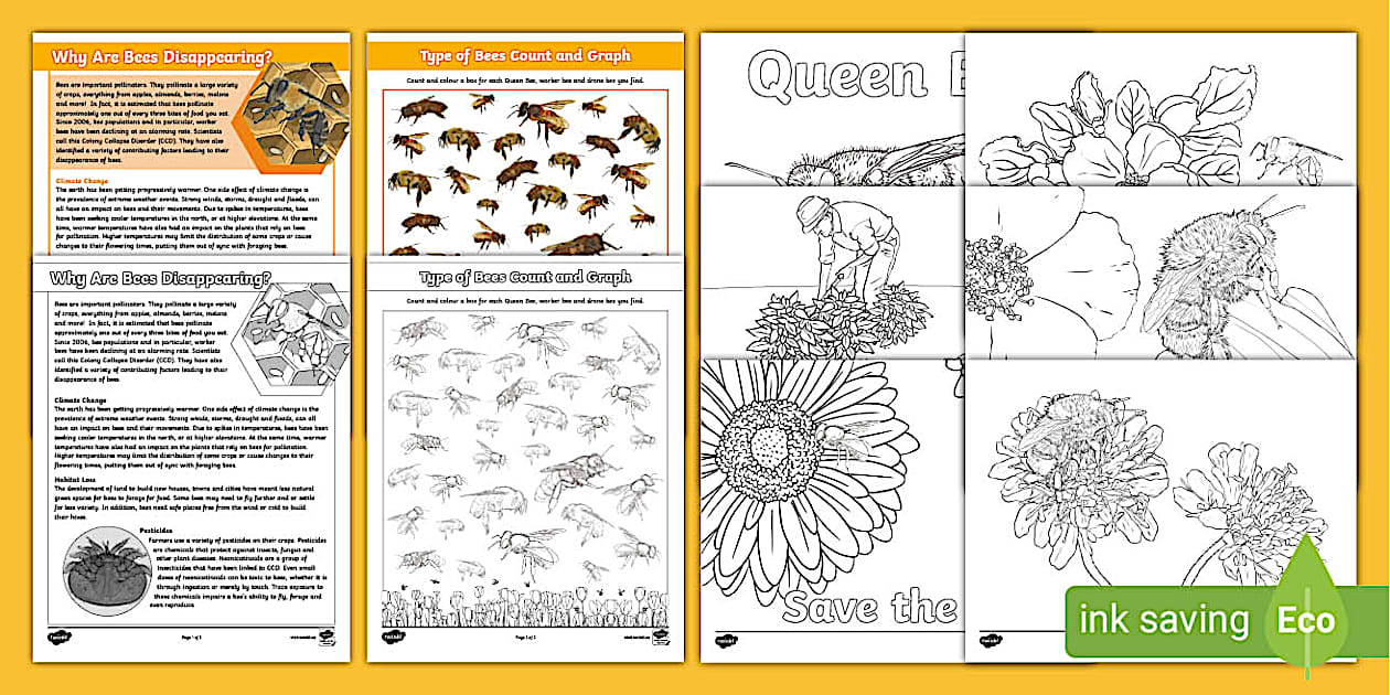 World Bee Day Intermediate Taster Pack