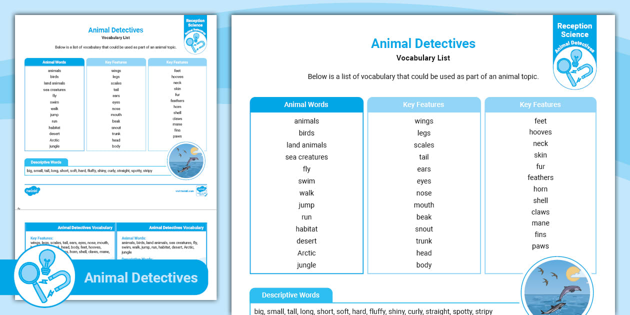 Animal Detectives Word List (Supports White Rose Science)