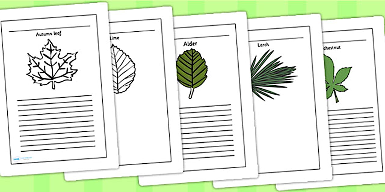 Black and White Leaves Writing Frames (teacher made)