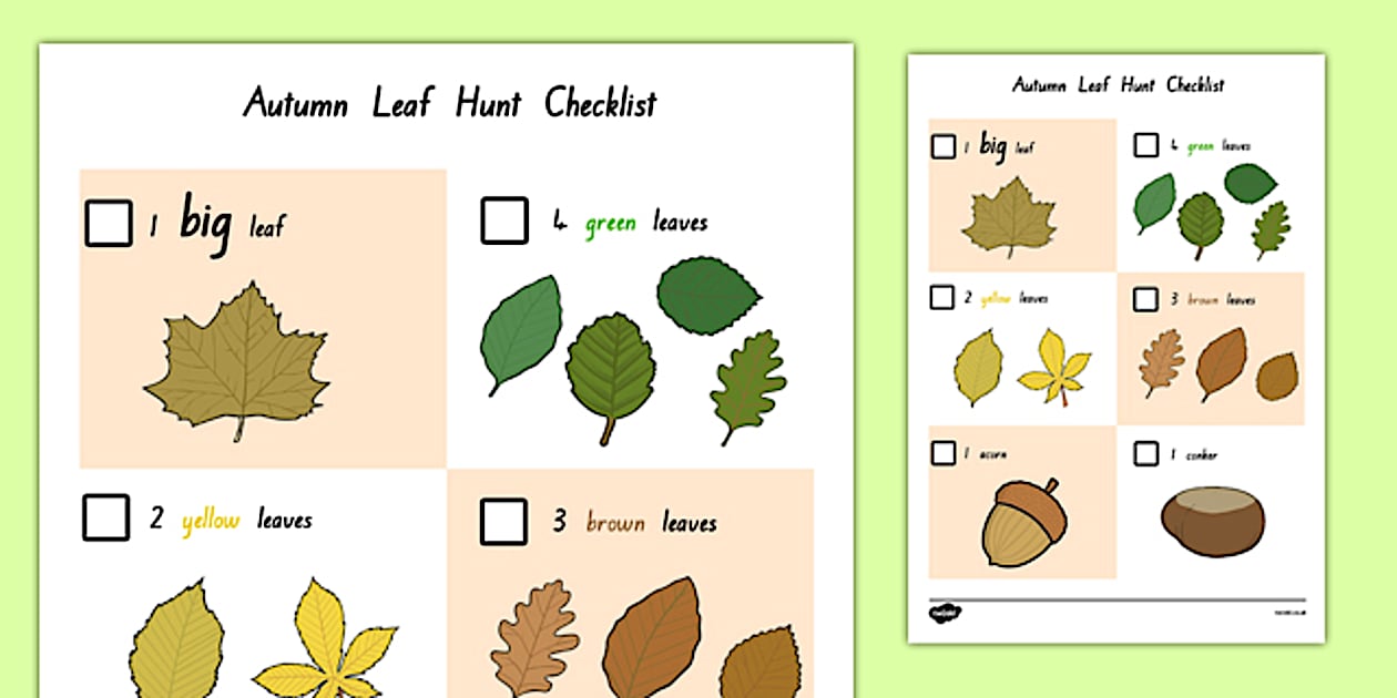 Leaf Hunt Checklist (teacher made) - Twinkl