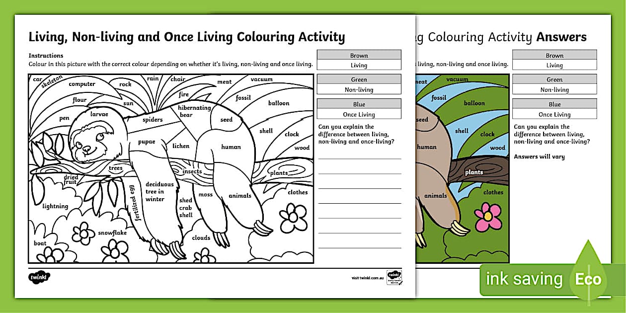 Living, Non-living and Once Living Colouring Activity
