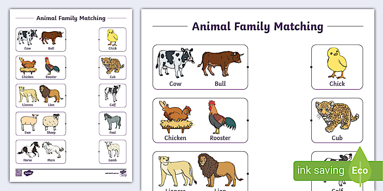 Animal Family Matching Activity (teacher made) - Twinkl