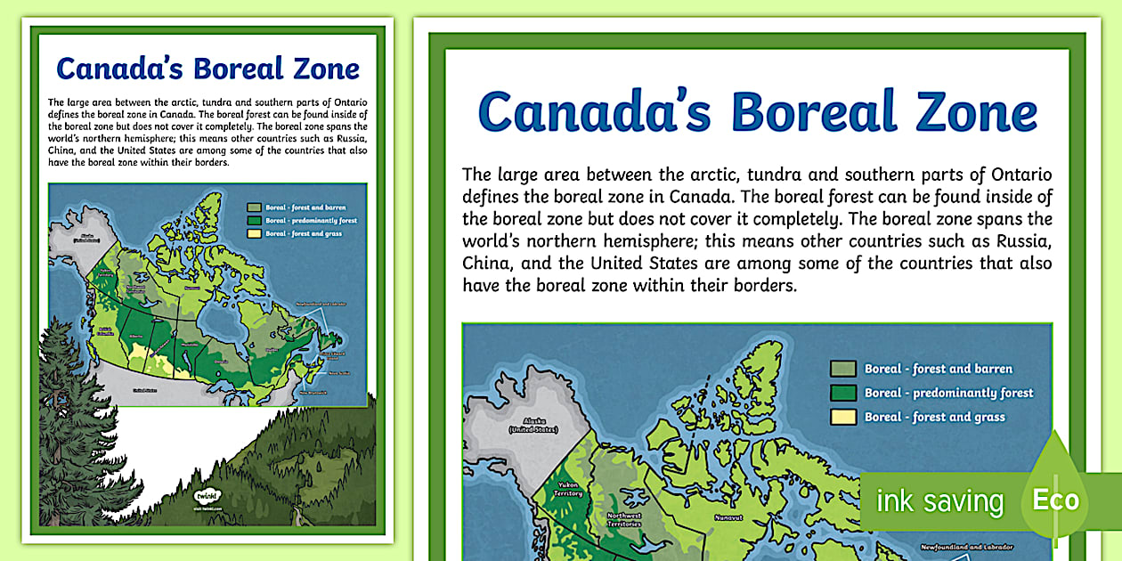 Boreal Zone Canada Map (teacher made) - Twinkl