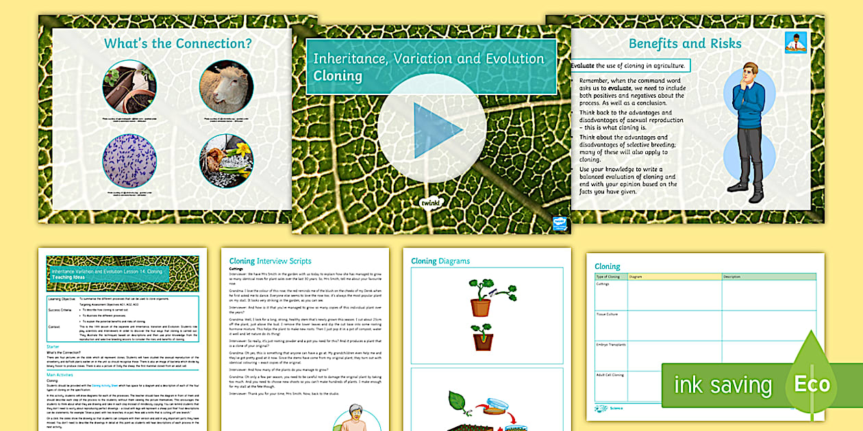 AQA Inheritance, Variation and Evolution Lesson 14: Cloning (Separate)