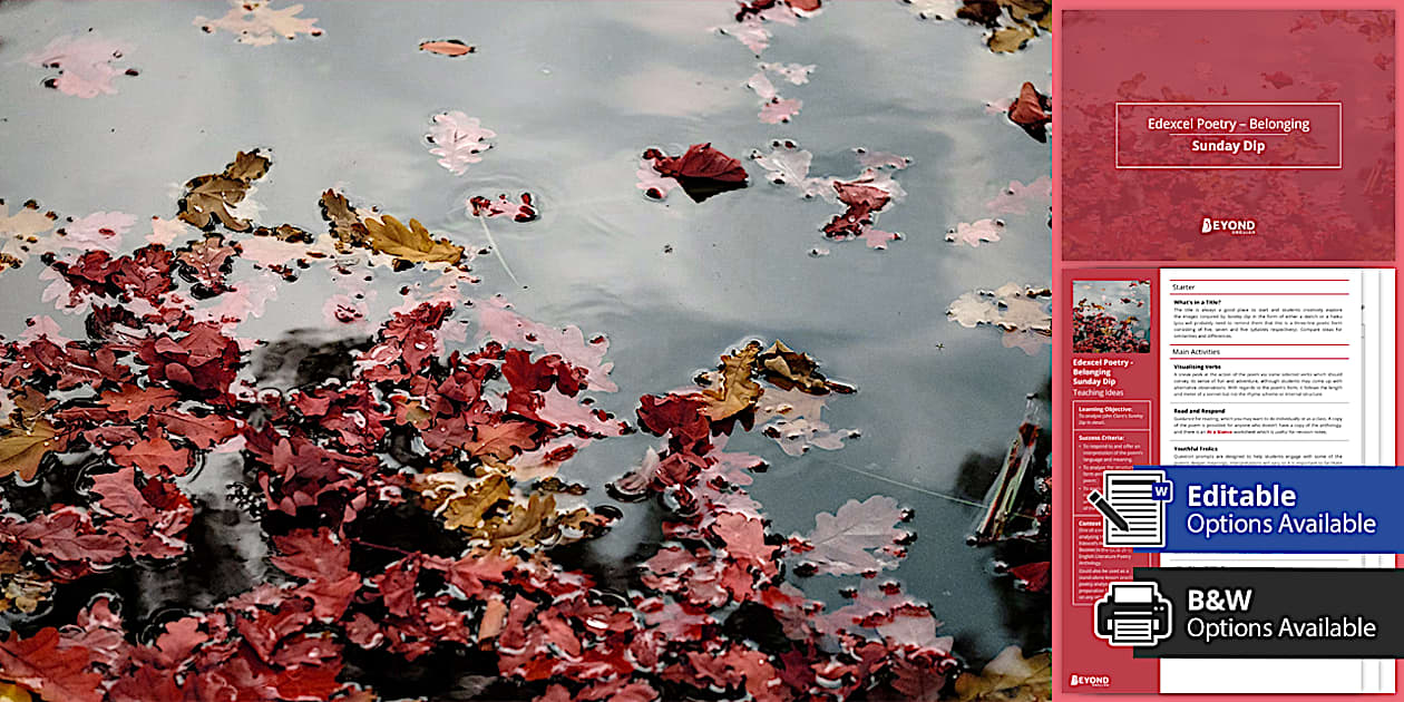 Sunday Dip Lesson Pack (Teacher-Made) - Twinkl