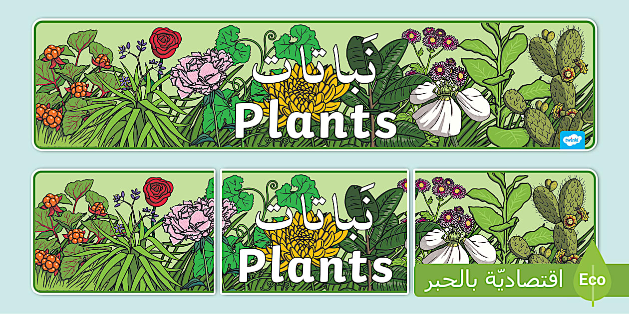 Plants Display Banner- Arabic & English (teacher made)