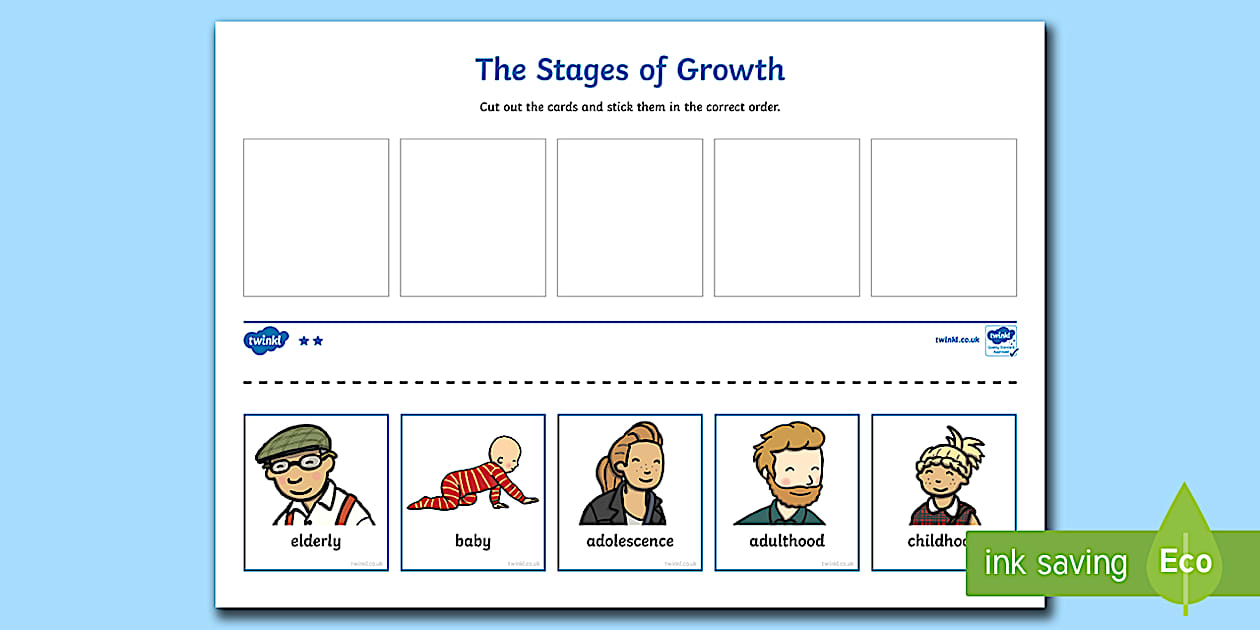 Human Cycle - Cut and Stick Activity - Twinkl