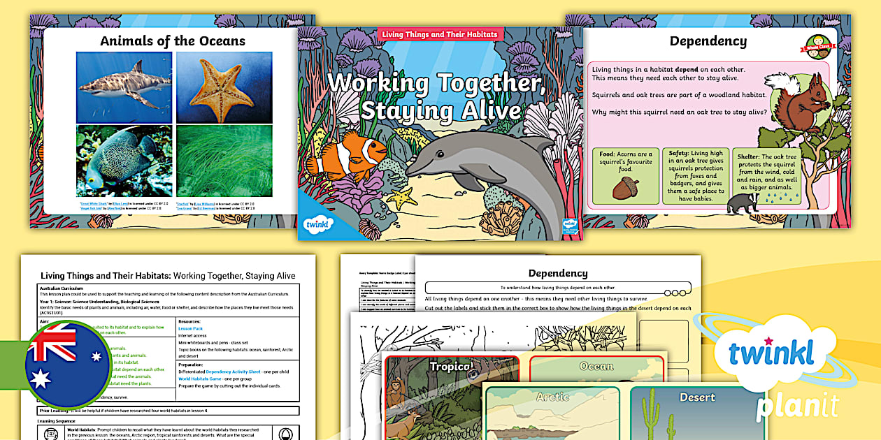 Year 1 Science Living Things and Their Habitats Lesson 5