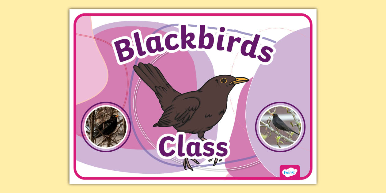 Blackbirds Class Display Poster - Twinkl