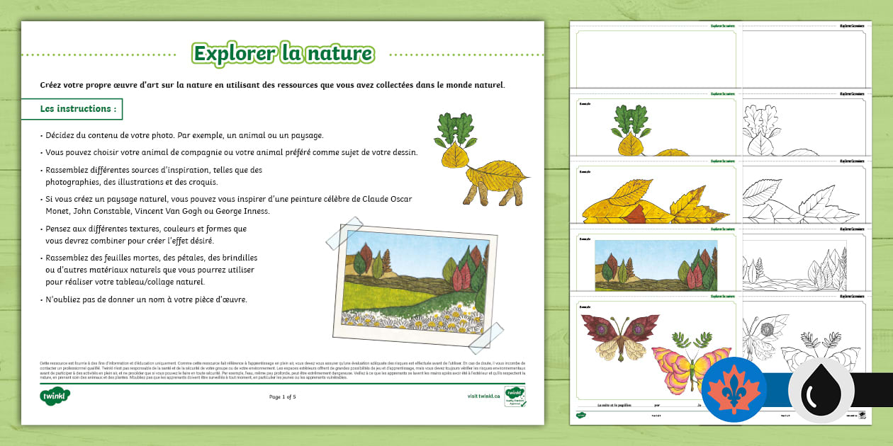 Outdoor Learning: Exploring Nature Art Activity French