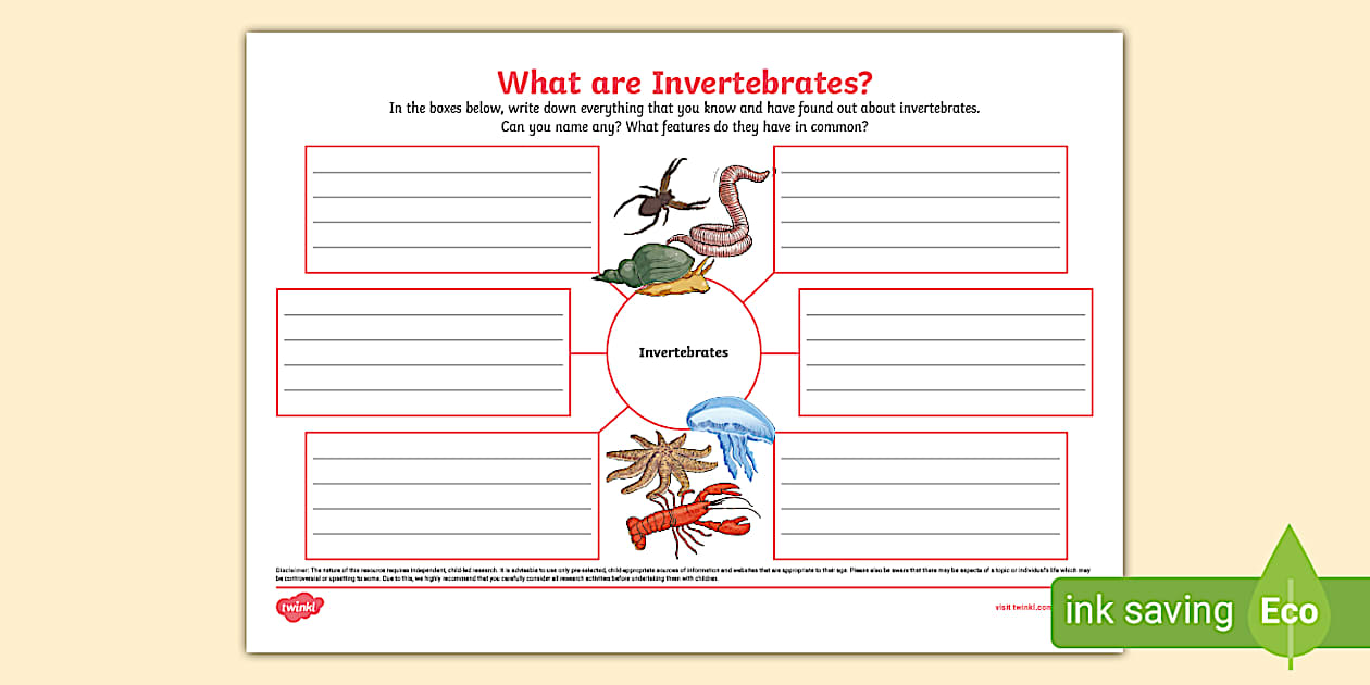 What Are Invertebrates? Mind Map - Twinkl