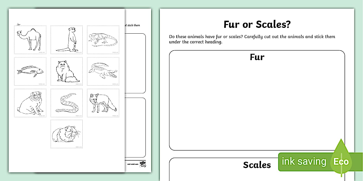 Fur or Scales Animal Matching Activity (teacher made)