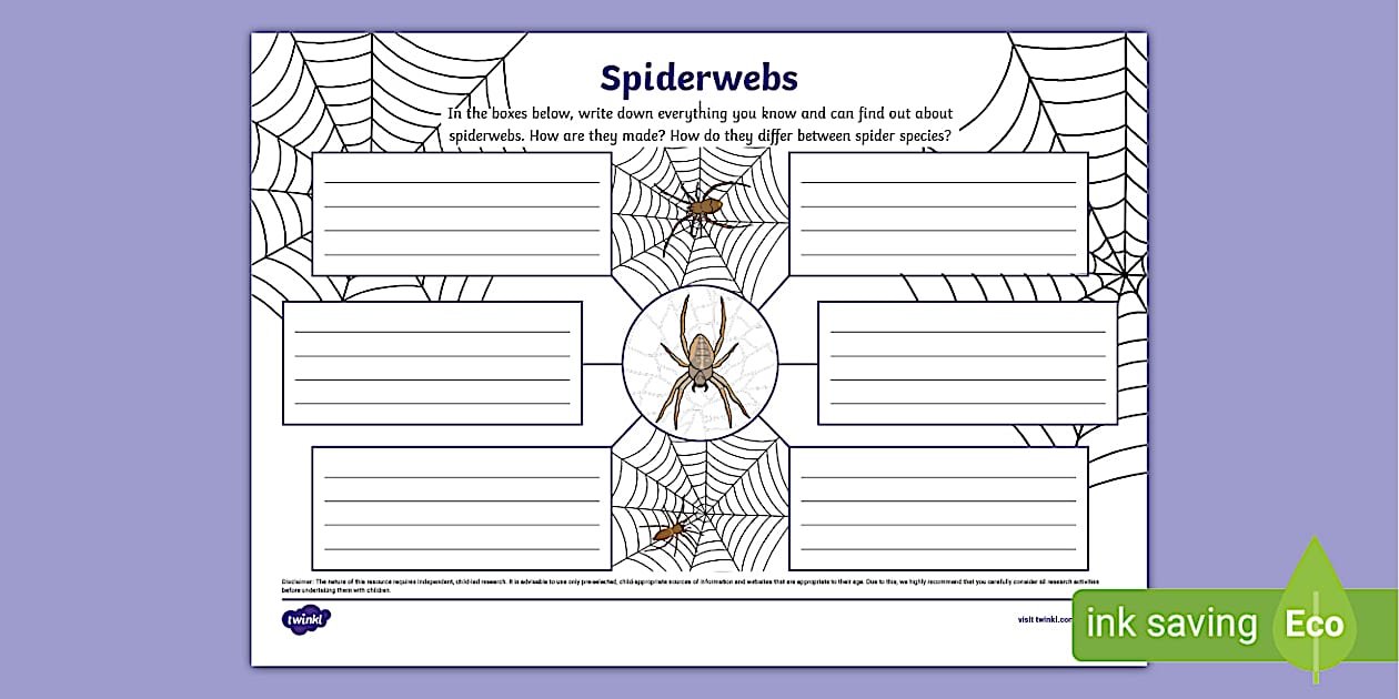 Spiderwebs Mind Map (teacher made) - Twinkl