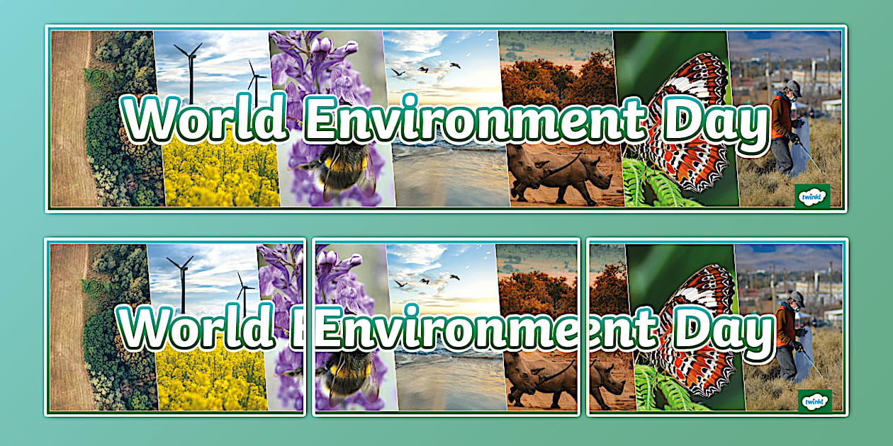 World Environment Day Photo Display Banner (teacher made)