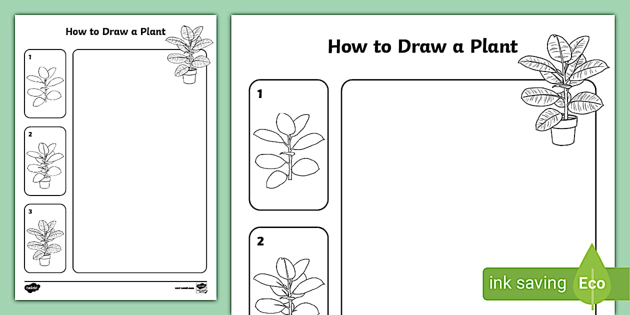 How to Draw a Plant Worksheet | Drawing and Art | Twinkl KS1