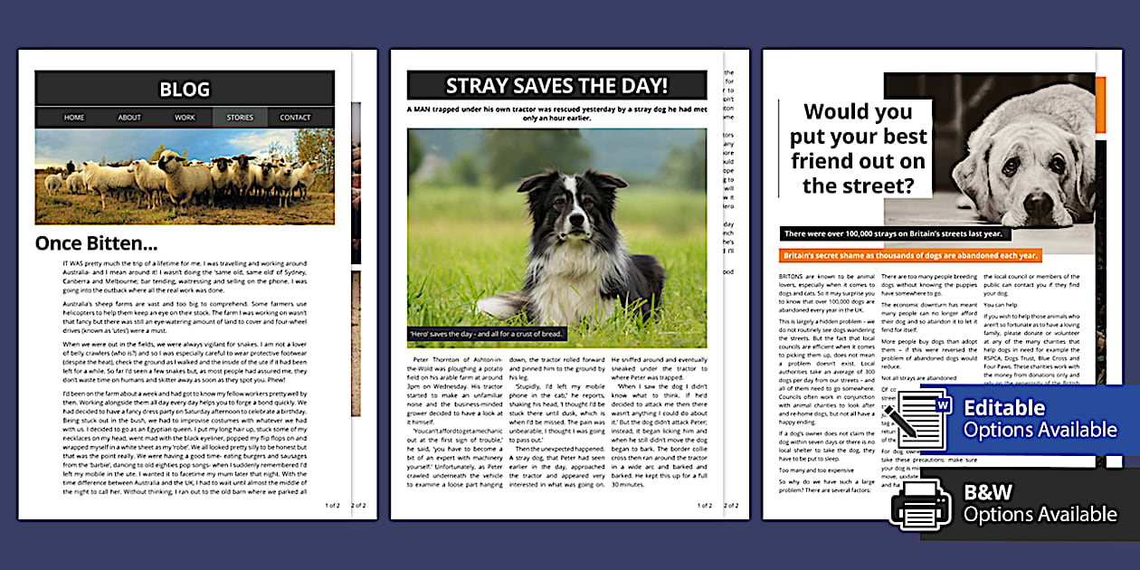 KS3 Non-Fiction Texts | English | Beyond (Teacher-Made)